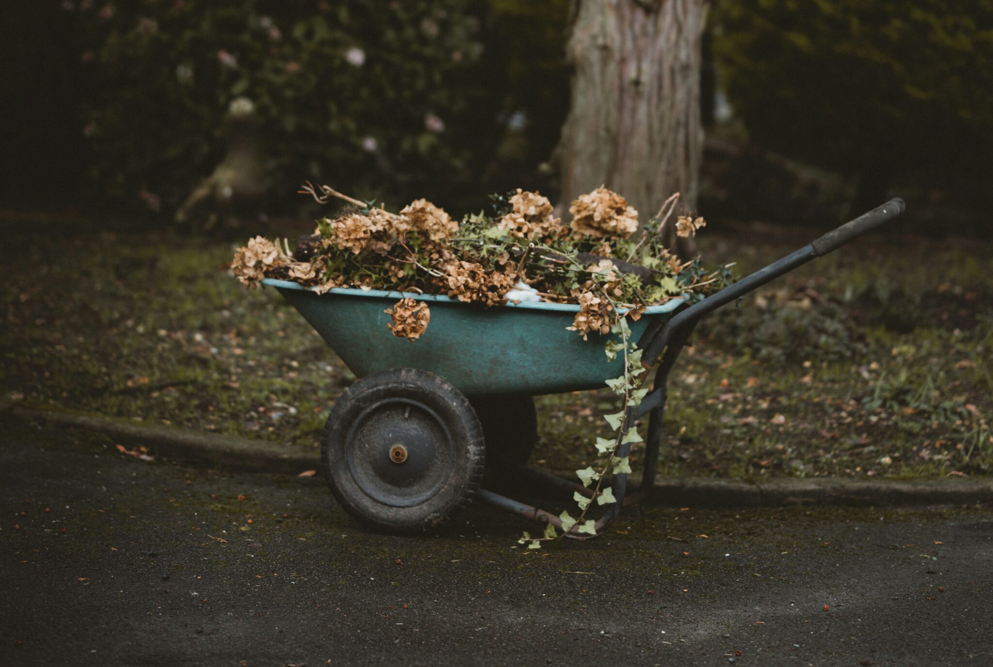 City of Enderby – Residential Spring Pruning Curbside Collection 2025
